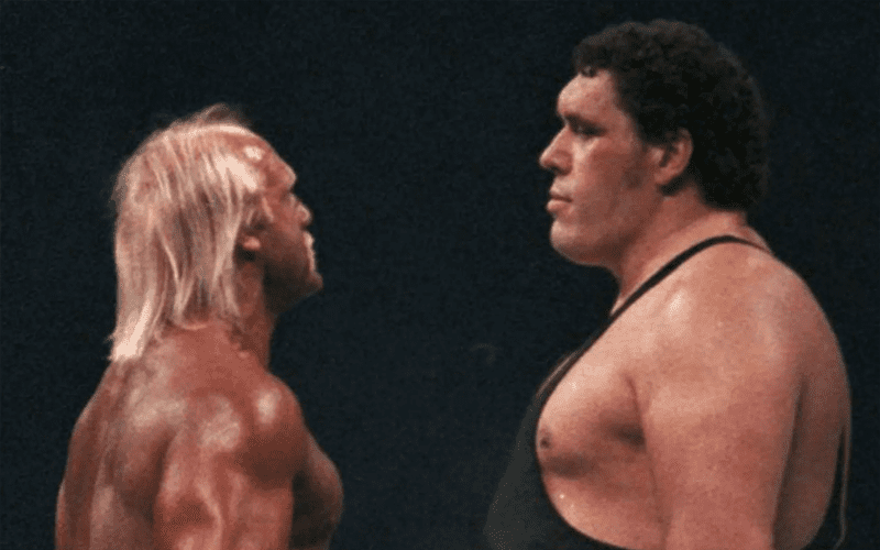 Andre The Giant And Hulk Hogan