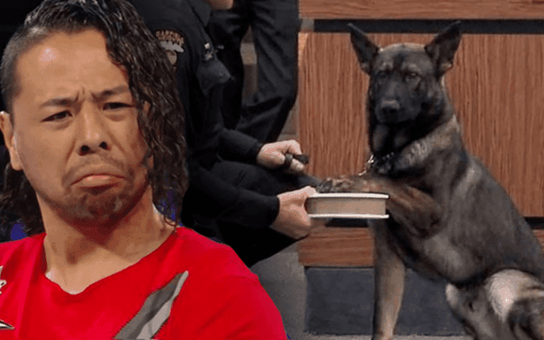 Could WWE Sue Over Shinsuke Nakamura's Police Dog Bite?