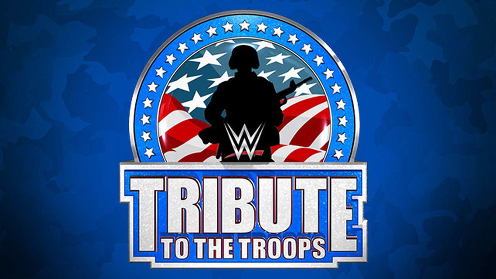 Details on This Year's WWE Tribute to the Troops Show