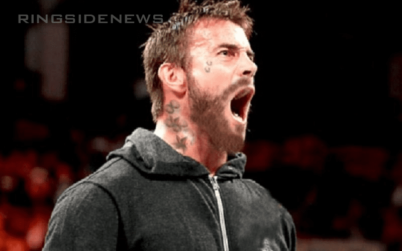 CM Punk Tells Fan To "F*ck Himself" After Suggesting Pro Wrestling Return