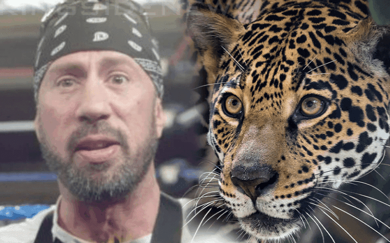 X-Pac Explains Why He Has 'Zero Sympathy' For Woman Attacked By Jaguar