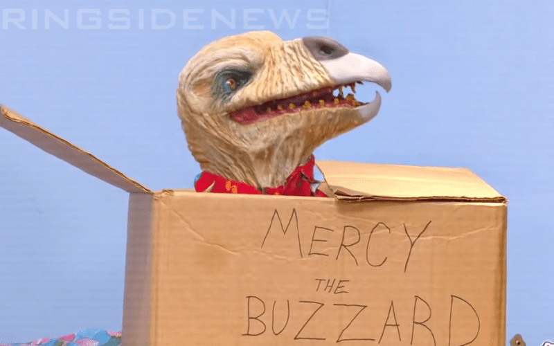 Reason Behind Name Of Bray Wyatt's Buzzard On Firefly Fun House Revealed