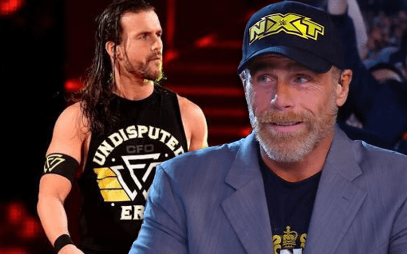 Adam Cole Wants Shawn Michaels In Undisputed Era