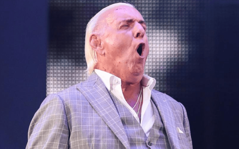 Ric Flair Is 'Happy' With His Progress In 'The Man' Trademark Issues