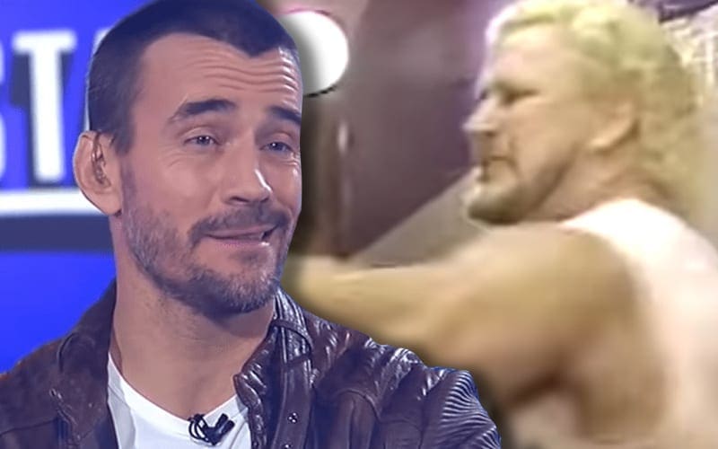 CM Punk Comments On How Pro Wrestling Turned Its Back On David Schultz ...