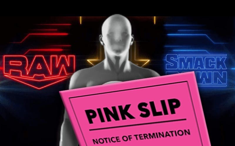 Former Superstar Breaks Silence After WWE Release