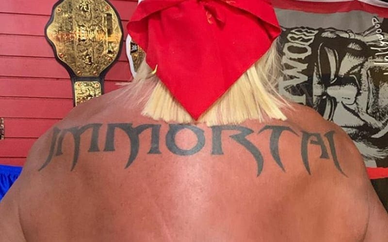 Hulk Hogan Shows Off Gnarly Surgery Scars - 'I'll Still Take The Whole ...