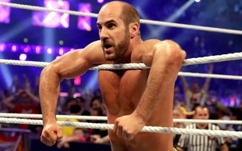Cesaro Has Big Support From Top WWE Superstar