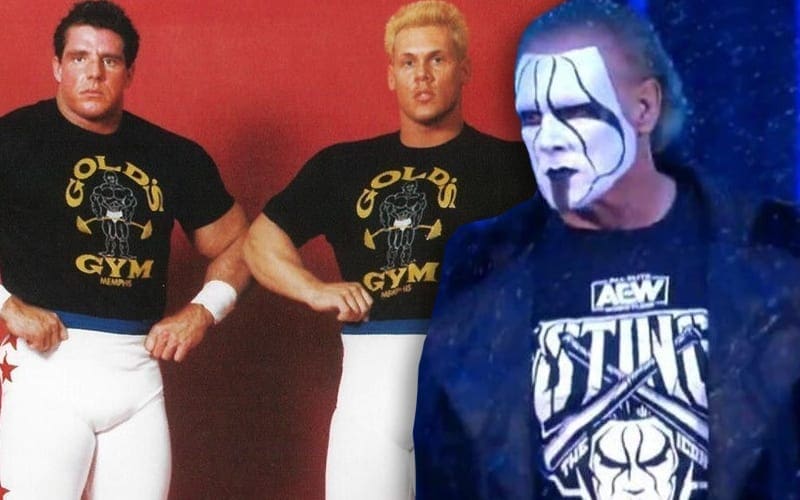 Ultimate Warrior Vs Sting