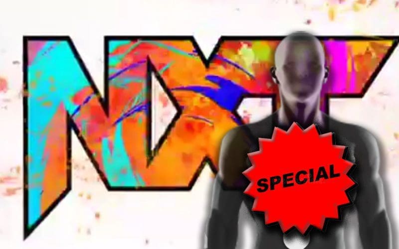 WWE Has Their Eye On NXT Superstar To Be 'Special'