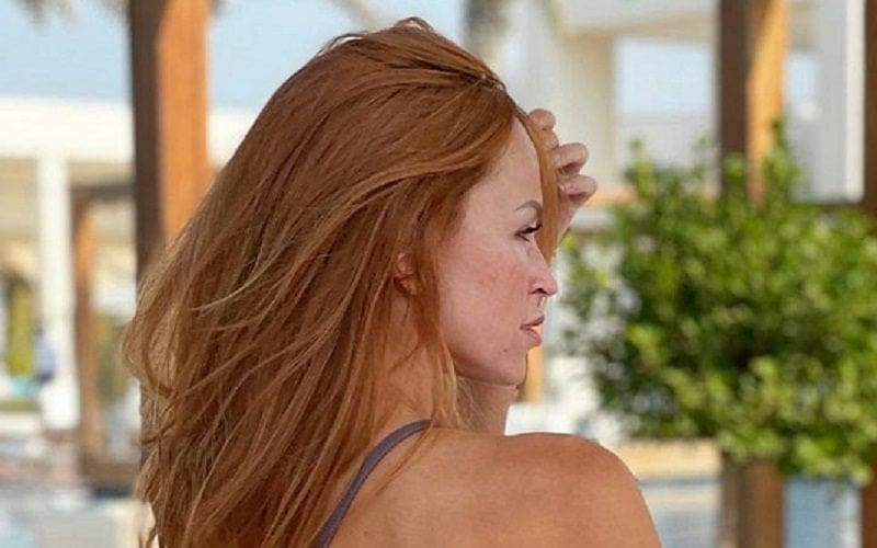 Wwe Michelle Mccool Summer Skin