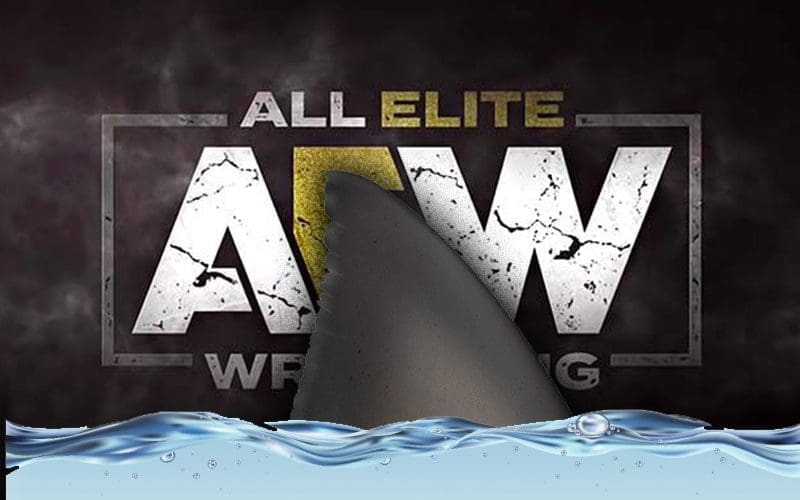 AEW Set For Collaboration With Discovery's 'Shark Week'