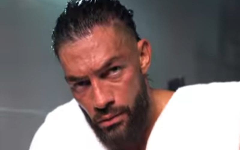 Roman Reigns' First Comment After Beating Brock Lesnar At WWE SummerSlam