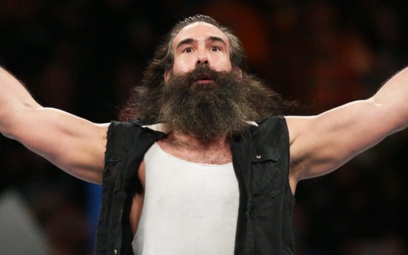 Luke Harper 2022