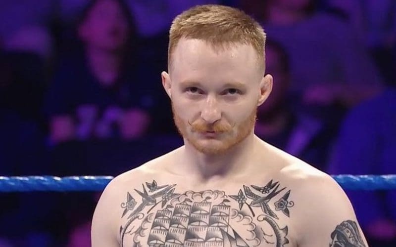 Jack Gallagher Gets Demolished In Pro MMA Debut