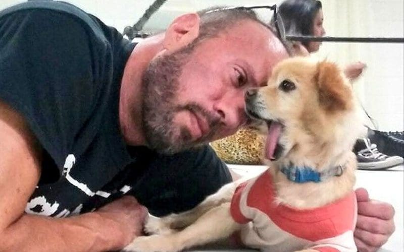 Sean Waltman's Dog Lula Passes Away