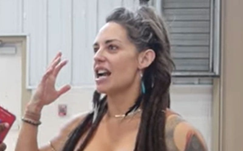 Ex-WWE Superstar Kaitlyn Doesn't Rule Out Making In-Ring Return