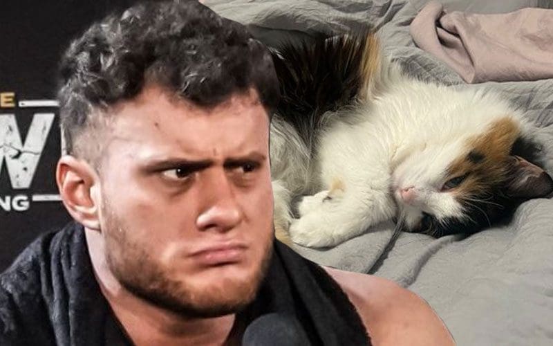 MJF Uses His Cat To Guilt-Trip Fans Over Forbidden Door Match