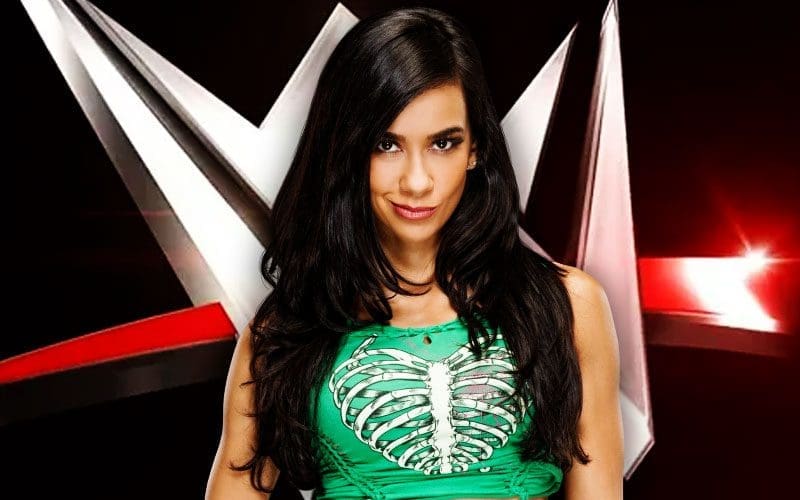 AJ Lee's WWE Return Is Not Off The Table