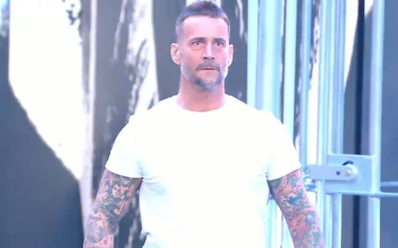 WWE Wastes No Time Releasing New CM Punk Merchandise After Survivor ...
