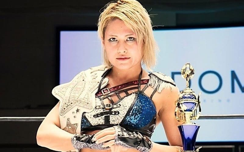 WWE Has Been Wanting To Sign Giulia For Years