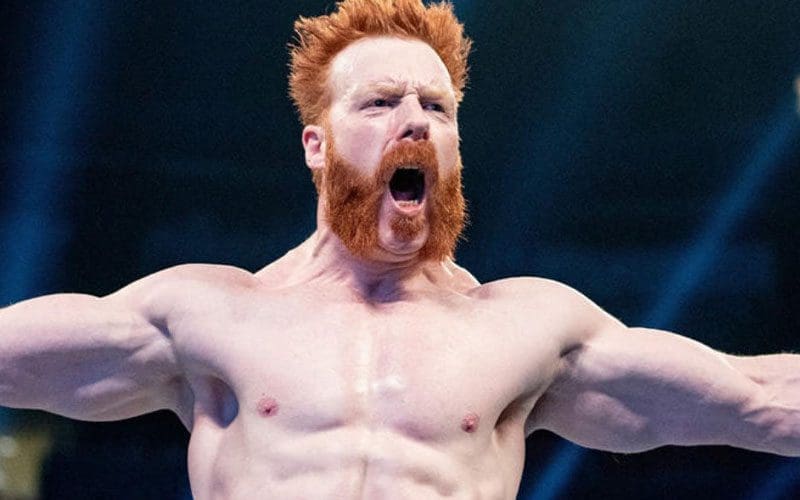 Sheamus' WWE Return on the Horizon After Shoulder Injury