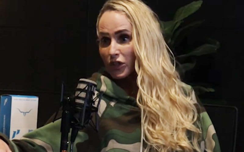 Michelle McCool Open to LayCool Reunion In WWE