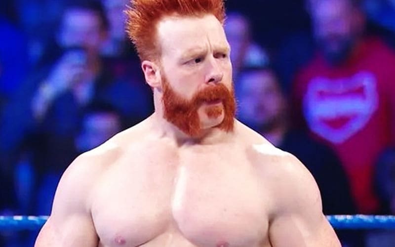 Expected WWE Return Timeline for Sheamus Revealed