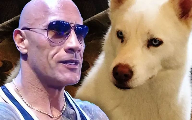 Brian Gewirtz Eyes Reigniting The Rock's Feud with Cody Rhodes' Dog Pharaoh