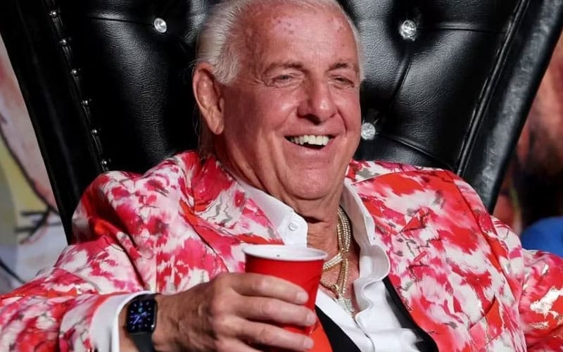 Ric Flair Shows Appreciation for AEW Directly After Dragging WWE