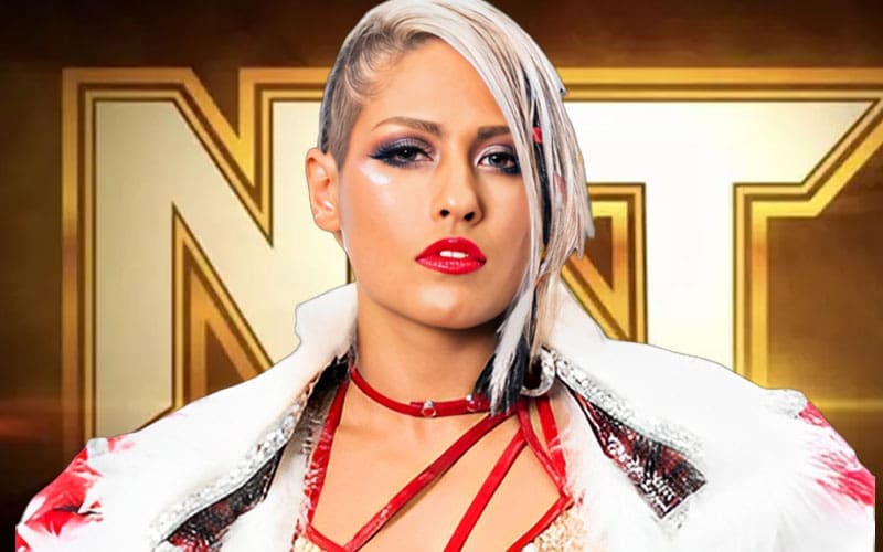 WWE's Plans for Introducing Giulia on NXT Television Revealed