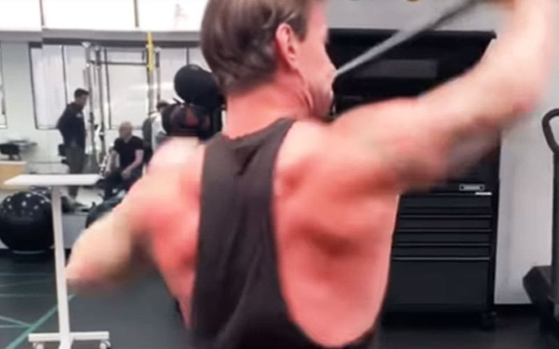 CM Punk Appears Fully Recovered in Intense Workout Amid Injury Break