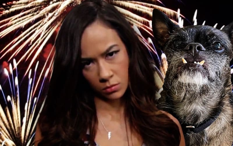 AJ Lee Ready to Square Up Over Scaring Her Pup Larry with July 4th ...