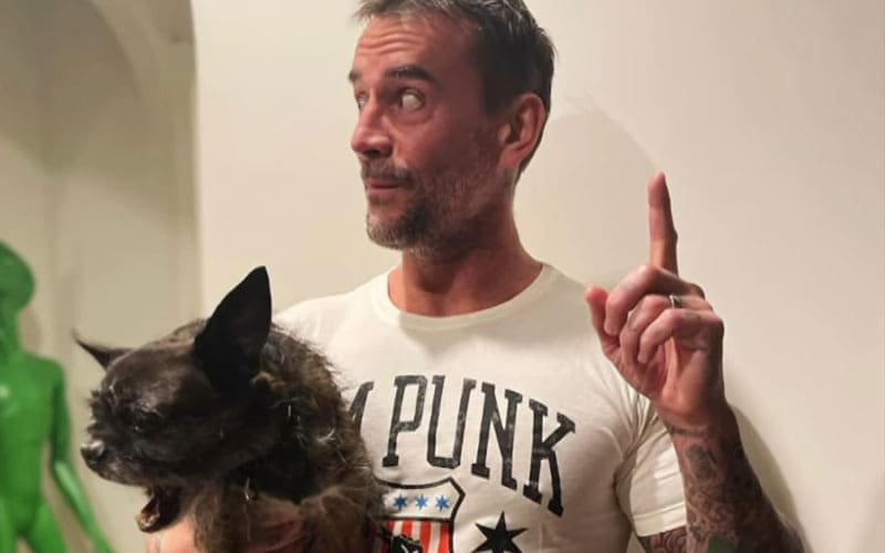 CM Punk’s Dog Larry Gets His Own WWE Spotlight Amidst Punk’s Feud With ...