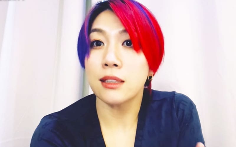 Asuka Confirms Injury Recovery Progress Amidst Extended Hiatus