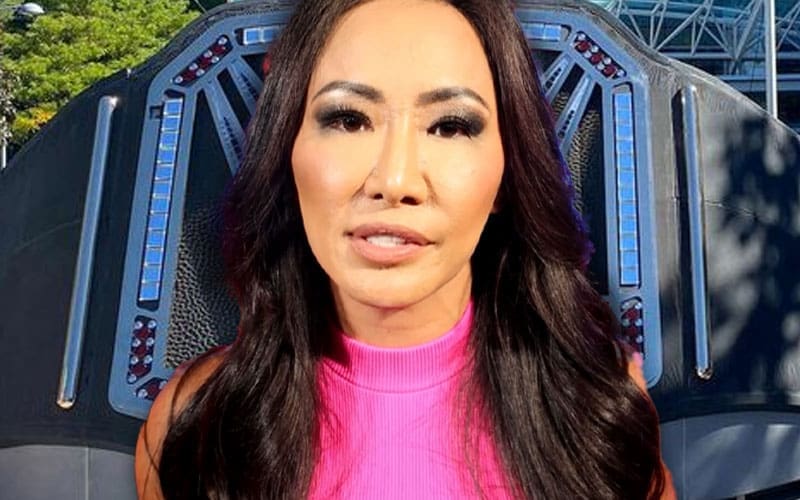 Gail Kim Casts Doubt on Wrestling Again in WWE
