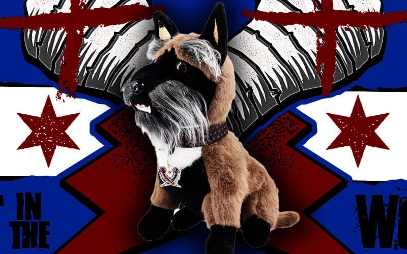 WWE Releases Official CM Punk "Larry The Dog" Plush Toy
