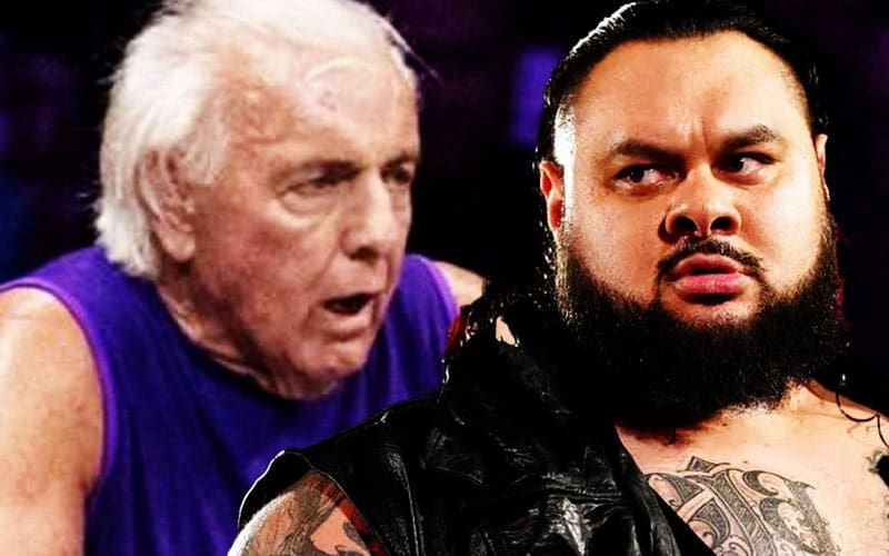 Bronson Reed Questions Fans Wanting Him to Hit Ric Flair with Tsunami ...