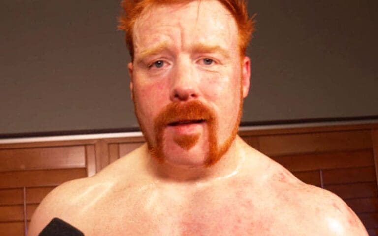 Sheamus' Current WWE Return Status After Suffering Shoulder Injury Last ...