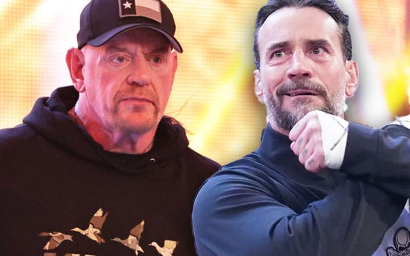 The Undertaker Believes CM Punk Deserves Retirement Tour Like John Cena