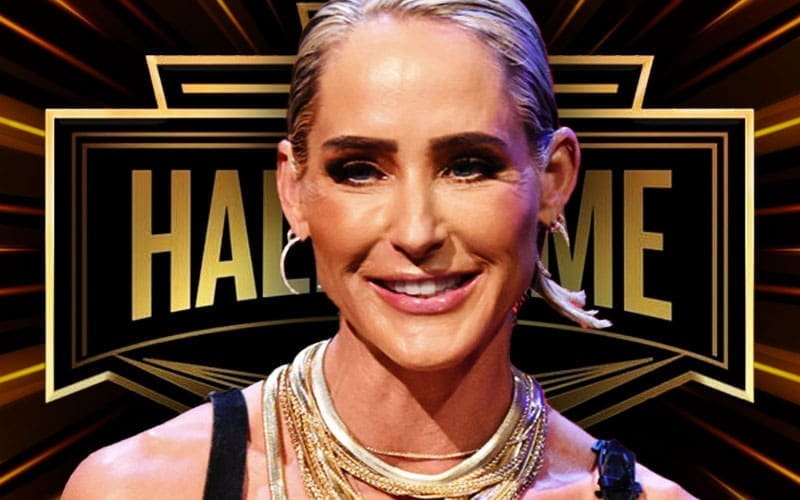 Michelle McCool’s WWE Hall of Fame Induction Sparks Backlash Over Who’s ...