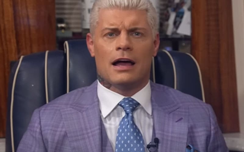 Cody Rhodes Says Only a Small Percentage of WWE Stars Actually Draw