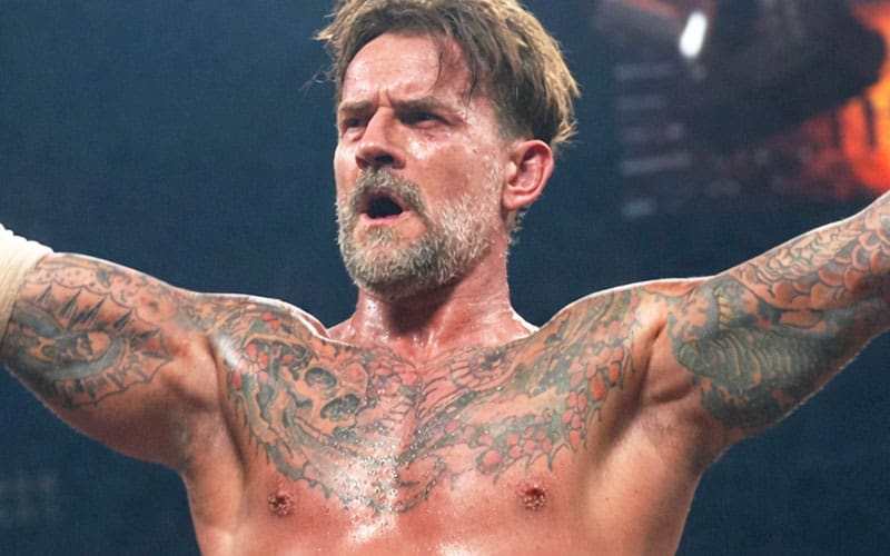 CM Punk Possibly in Concussion Protocol After Brutal Landing on WWE RAW